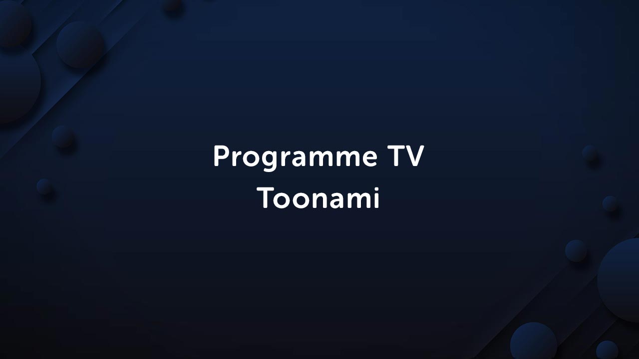 Programme TV Toonami en ce moment, ce soir et cette semaine